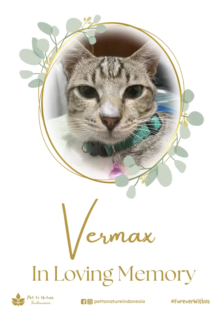 Vermax - Pet to Nature : Pusat Bio Kremasi Hewan Pertama Di Indonesia