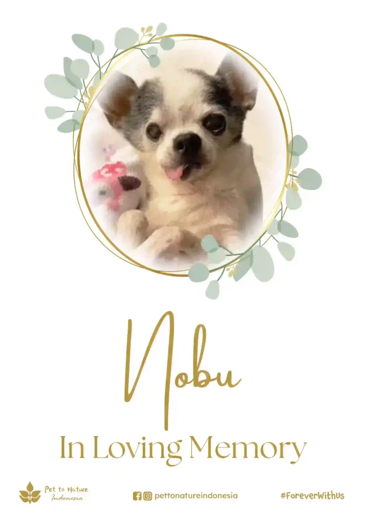 Nobu - Pet to Nature : Pusat Bio Kremasi Hewan Pertama Di Indonesia